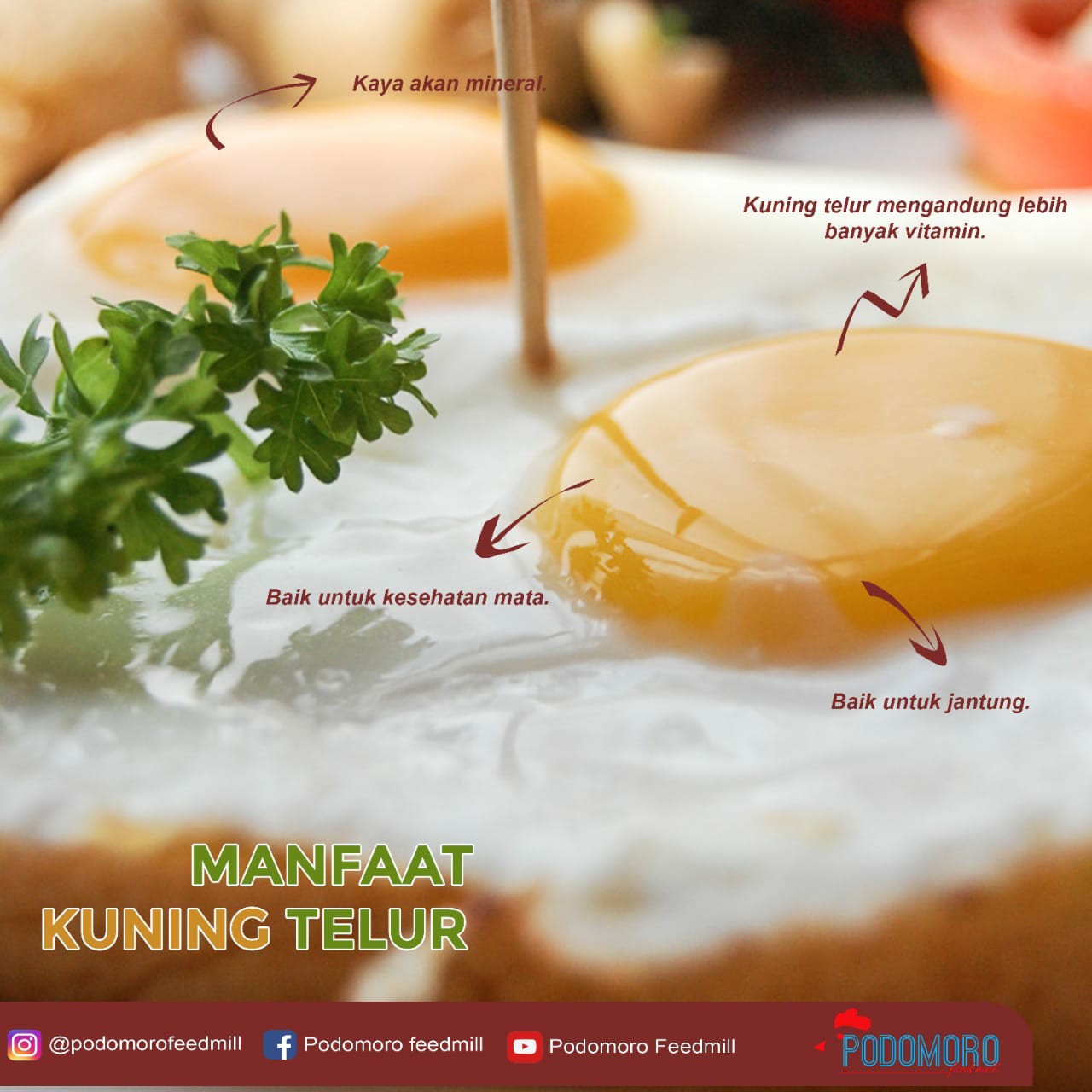 Perbedaan Kandungan Nutrisi Telur Ayam Dan Bebek, Podomoro Poultry ...