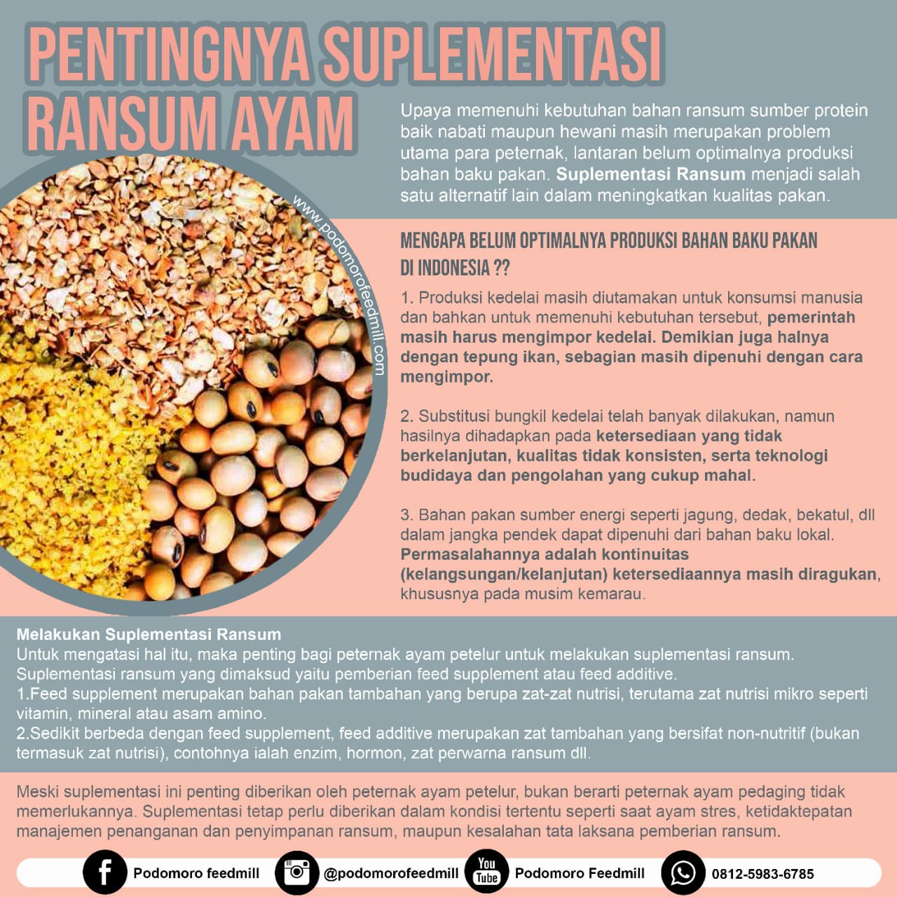 Pentingnya Suplementasi Ransum Ayam, Podomoro Poultry Equipment